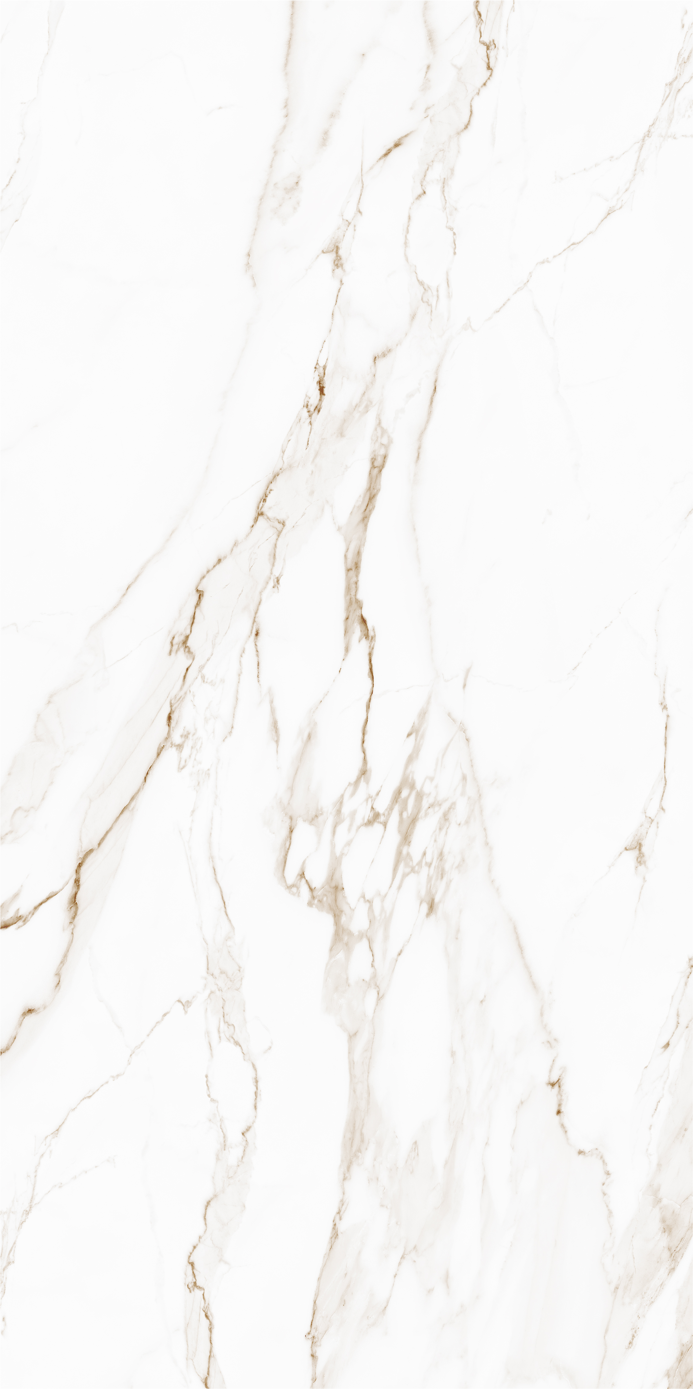 Керамогранит Golden white PG 11, цена в каталоге бренда Gracia Ceramica ...